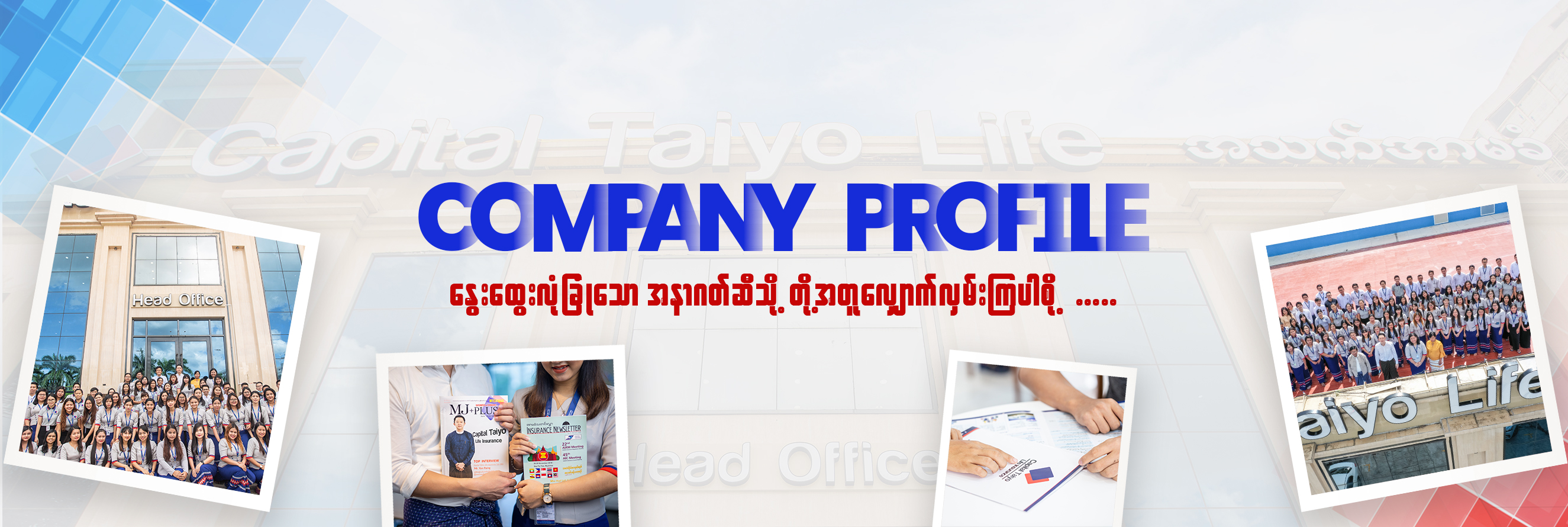 Company Profile